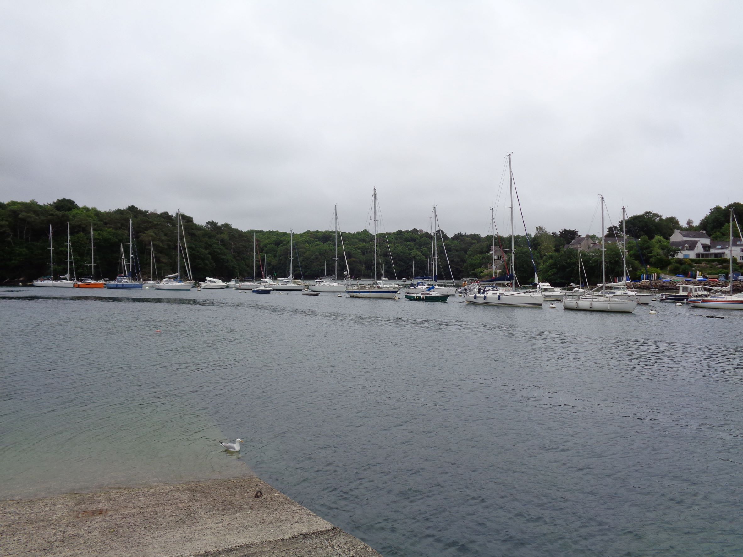 The port of Bélon of the Bélon ! – Paris1972-Versailles2003