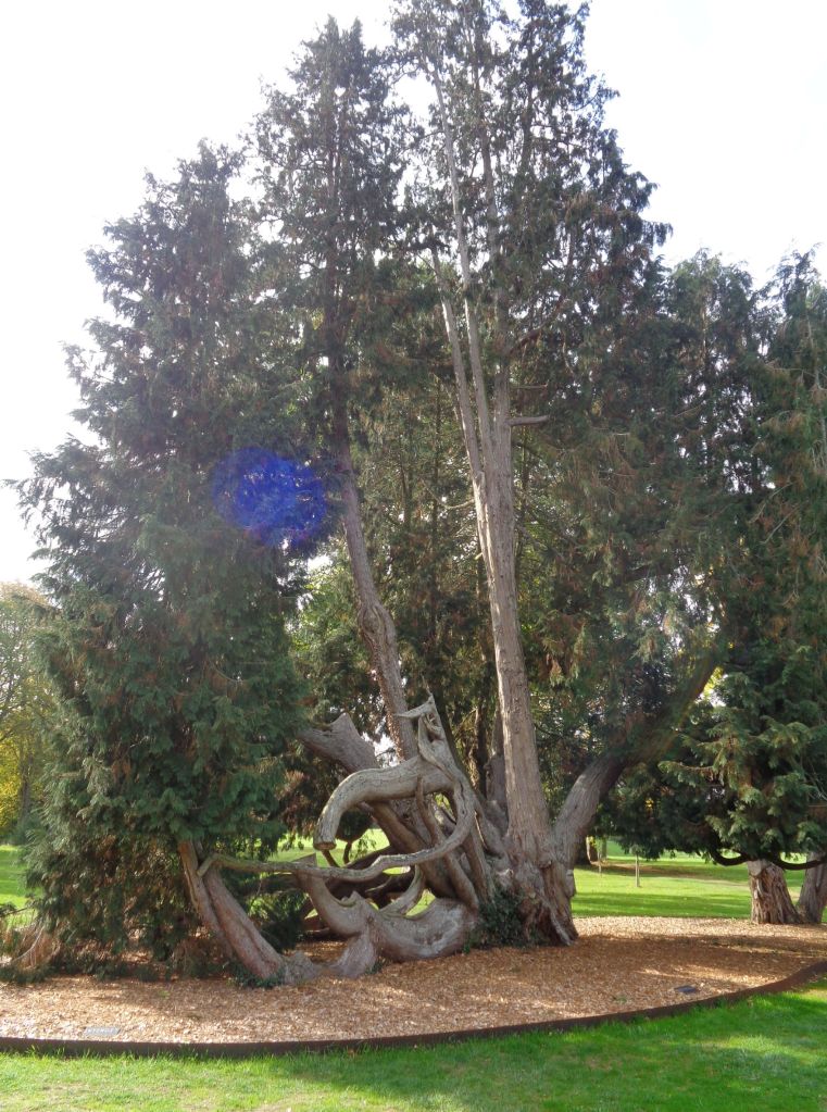 Combourg, the castle ! – Paris1972-Versailles2003