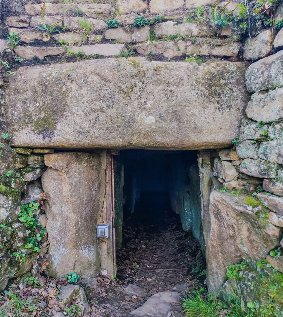 The Tumulus de Kercado of Carnac !!! – Paris1972-Versailles2003